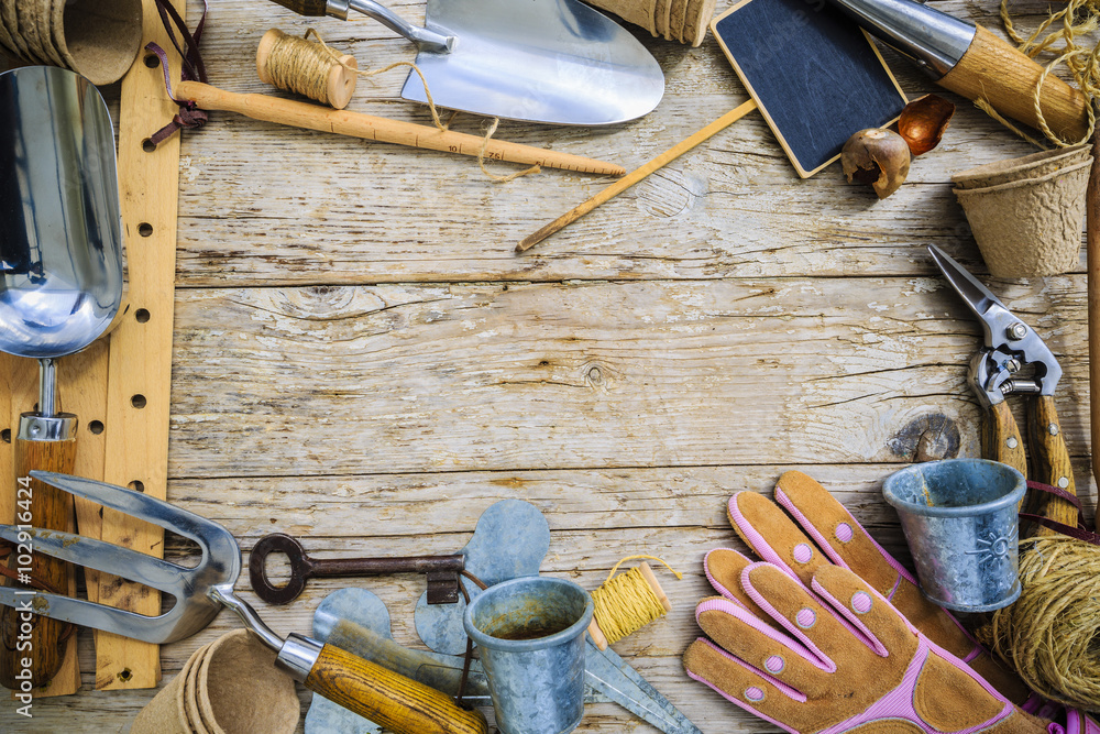 Garden tools on wooden background Stock Photo | Adobe Stock