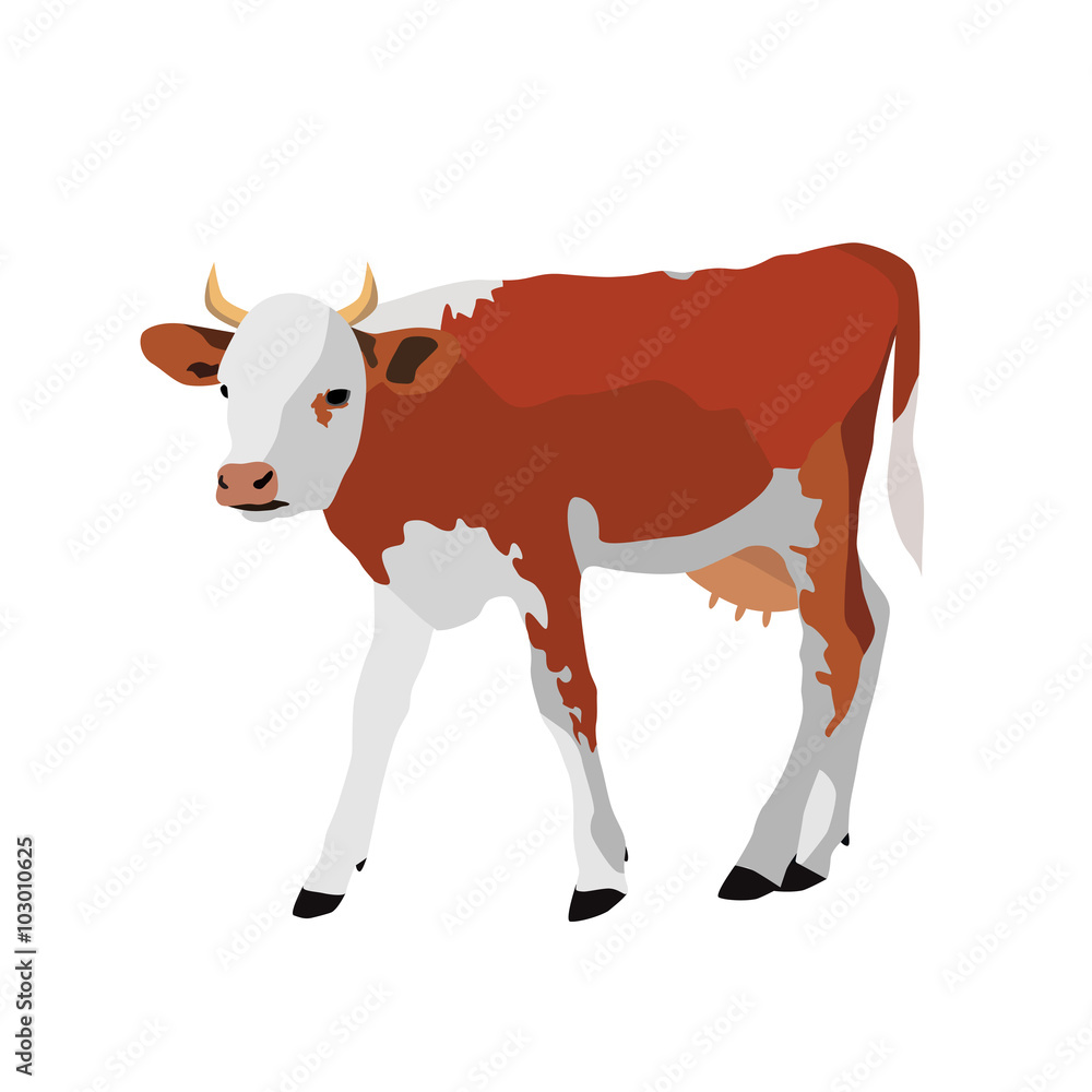 Cow isolated on white background. Vector illustration Stock Vector ...