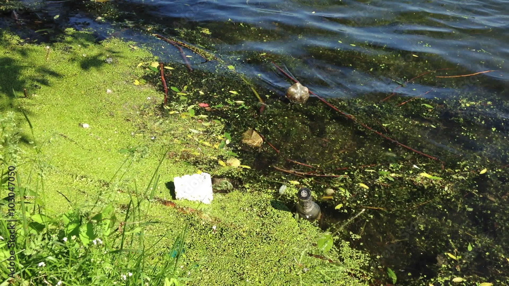 Environmental pollution - garbage in the lake Stock Video | Adobe Stock