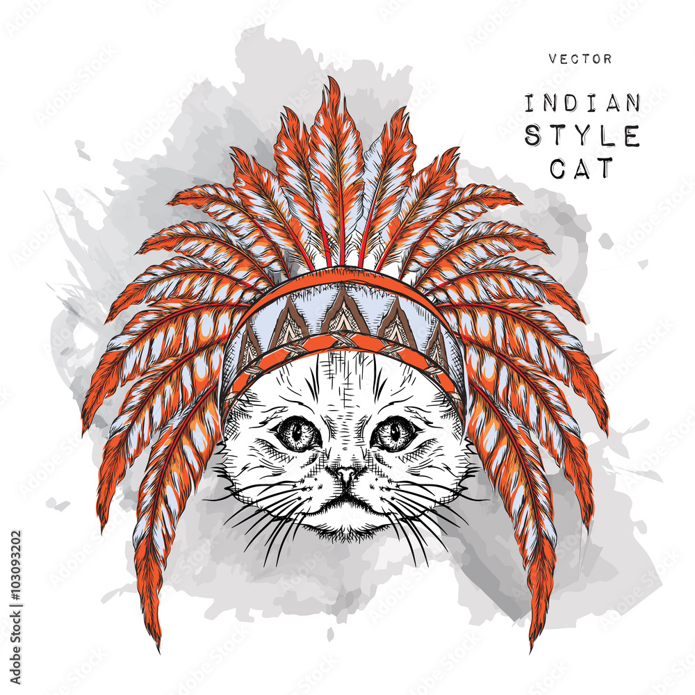 Cat in the Indian roach. Indian feather headdress of eagle. Hand draw ...