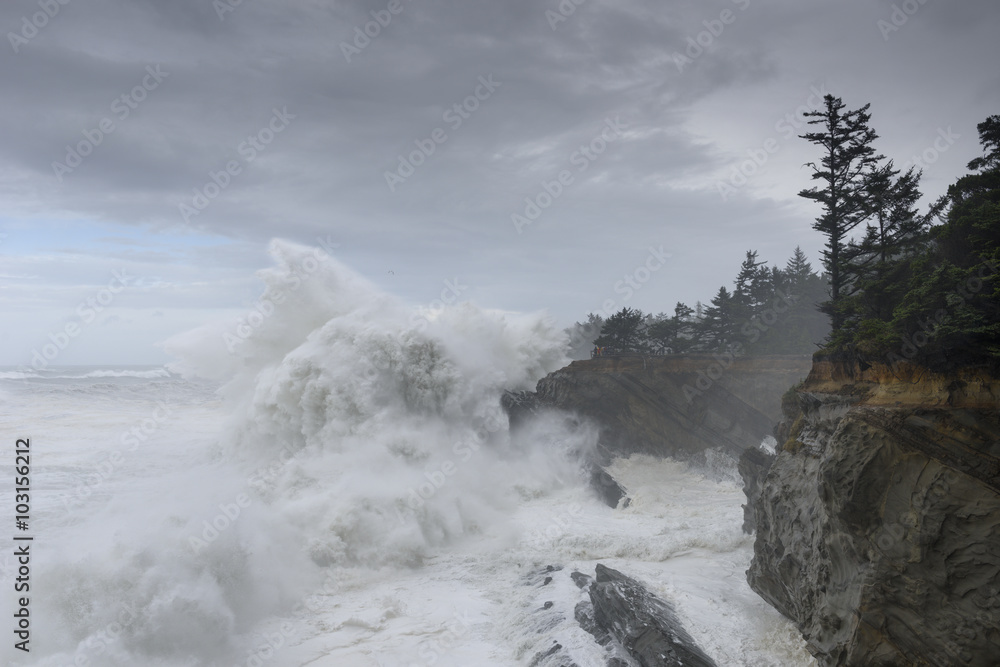 Swells of a Decade Crashing Against the Cliffs of Shore Acres State ...