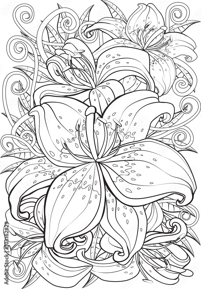 Lily Coloring Pages For Adults
