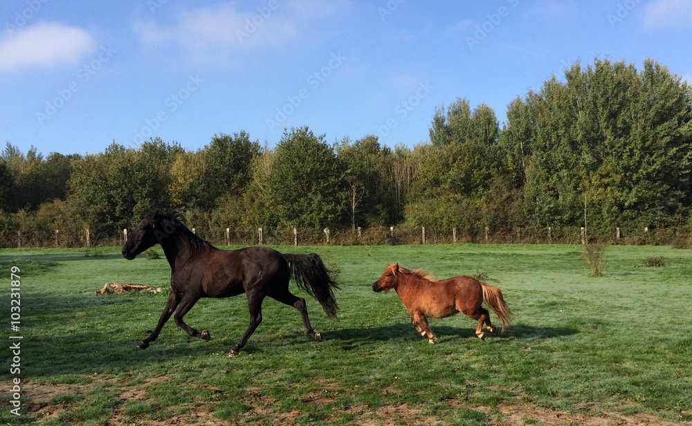 Course poursuite Stock Photo | Adobe Stock