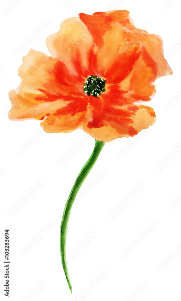 Orange Poppy Painting