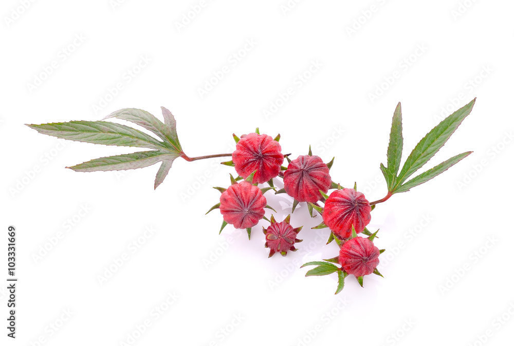 roselle fruit isolated on white background(Thailand fruit) Stock Photo ...