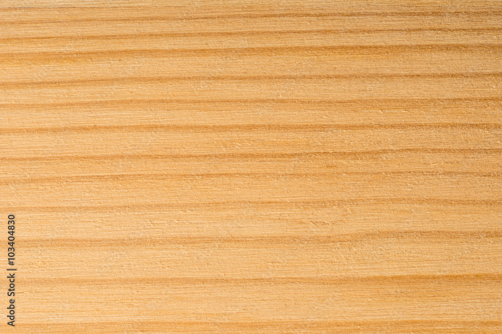 Pine tree texture. Wood background, light natural pattern Stock Photo ...