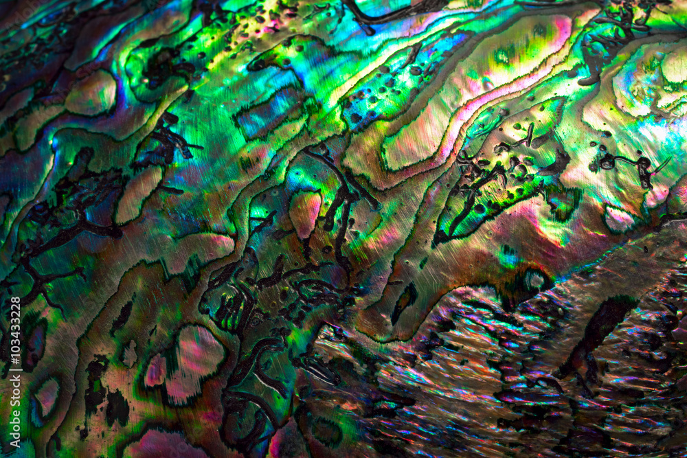 High magnification macro of pearl shell. Stock Photo | Adobe Stock