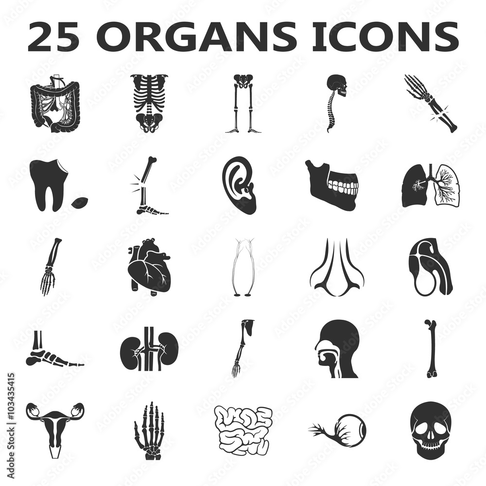 Organs set 25 black simple icons. Body, anatomy, medical icon design ...