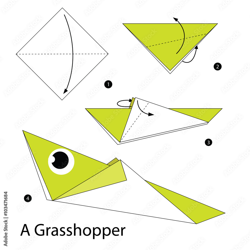 step by step instructions how to make origami A Grasshopper. Stock ...