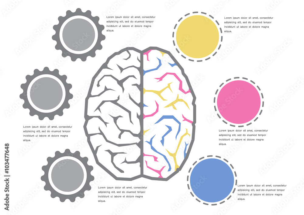 left and right brain concept ; vector illustration Stock Vector | Adobe ...