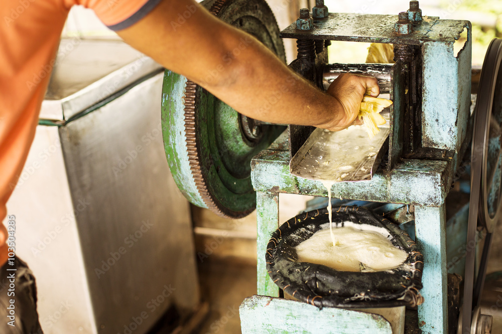 Extracting sugar cane juice with old traditional machine Stock Photo ...