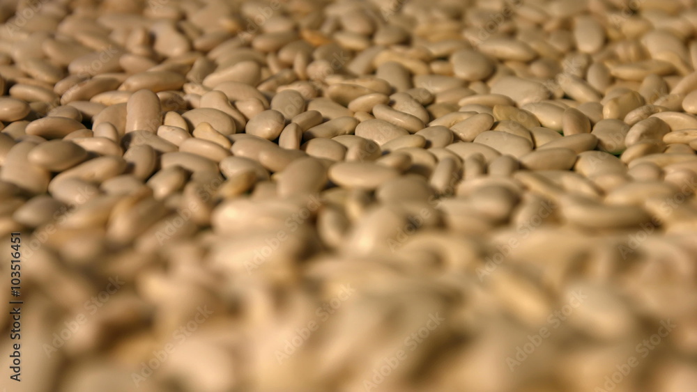 White beans are heading from the top down. Vertical ( from top to ...