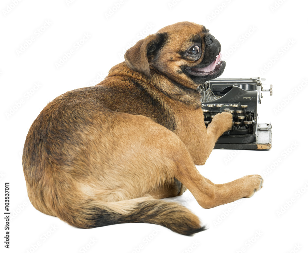 Dog Typewriter