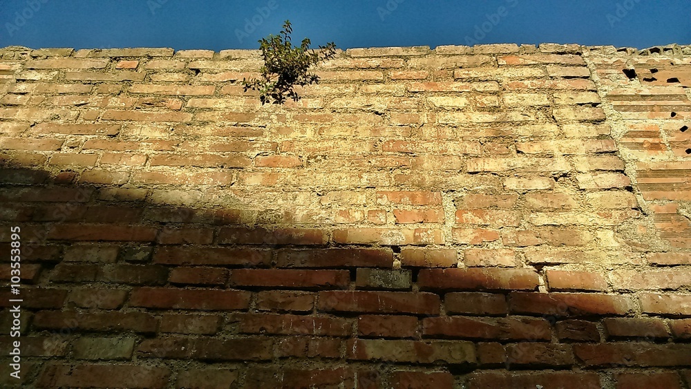 Muro, fondo, textura Stock Photo | Adobe Stock