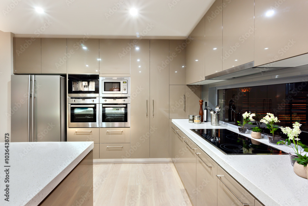 Interior of the modern kitchen in a luxury house Stock Photo | Adobe Stock