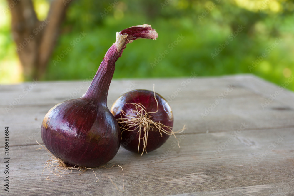 Natural red onion on a wooden table in the garden Stock Photo | Adobe Stock