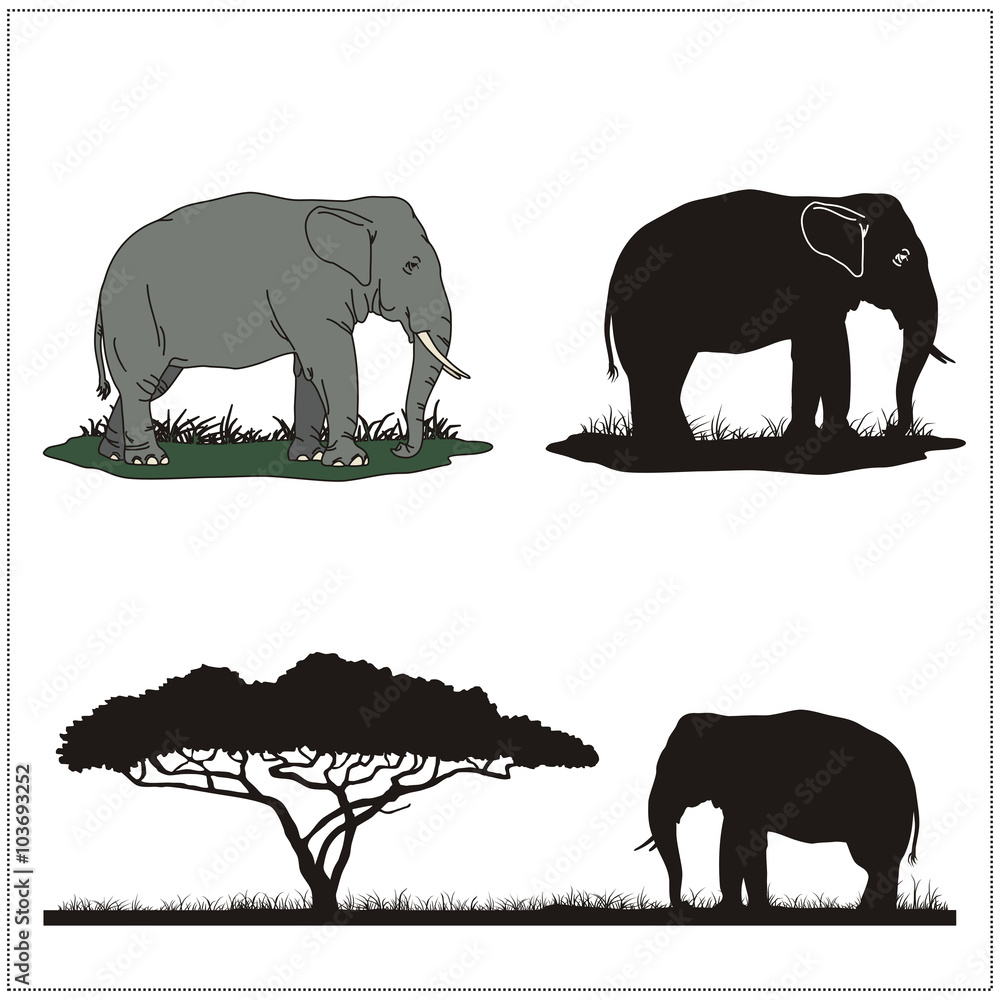 Elephant Profile Silhouette