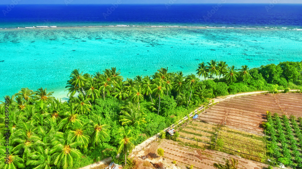 Shoreline of a tropical island in the Maldives and view of the I Stock ...