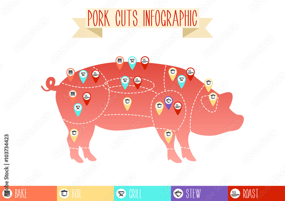 Pork cuts infographic. Vector silhouette of a pig with markers and ...