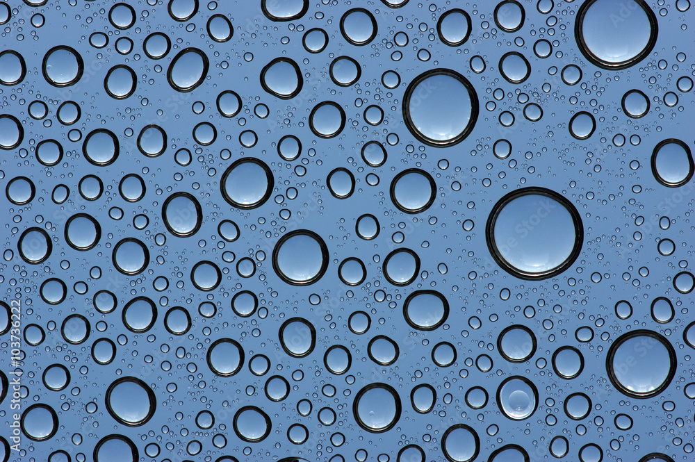 water drops on glass Stock Photo | Adobe Stock