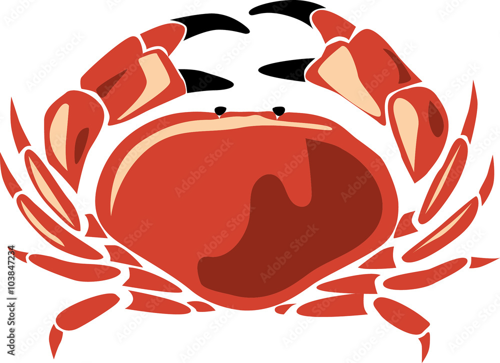 Red stone crab Stock Vector | Adobe Stock