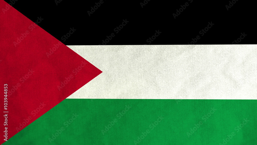 Palestine flag waving in the wind (full frame footage in 4K UHD ...