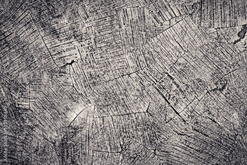 grungy dark textures background Stock Photo | Adobe Stock