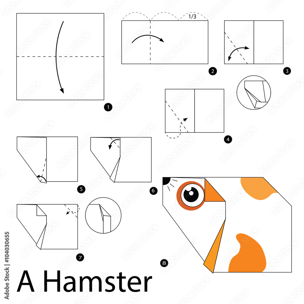 Step by step instructions how to make origami A Hamster. Stock Vector ...