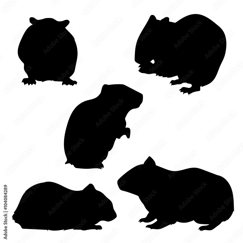 Hamster set of silhouettes Stock Vector | Adobe Stock