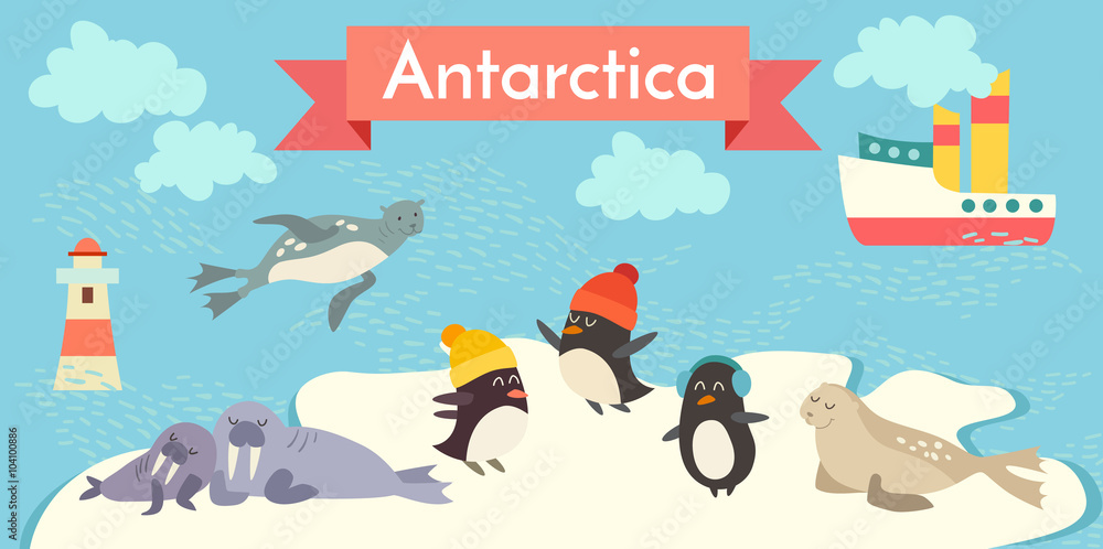 Antarctica cartoon animals vector illustration set. Penguin, walrus ...