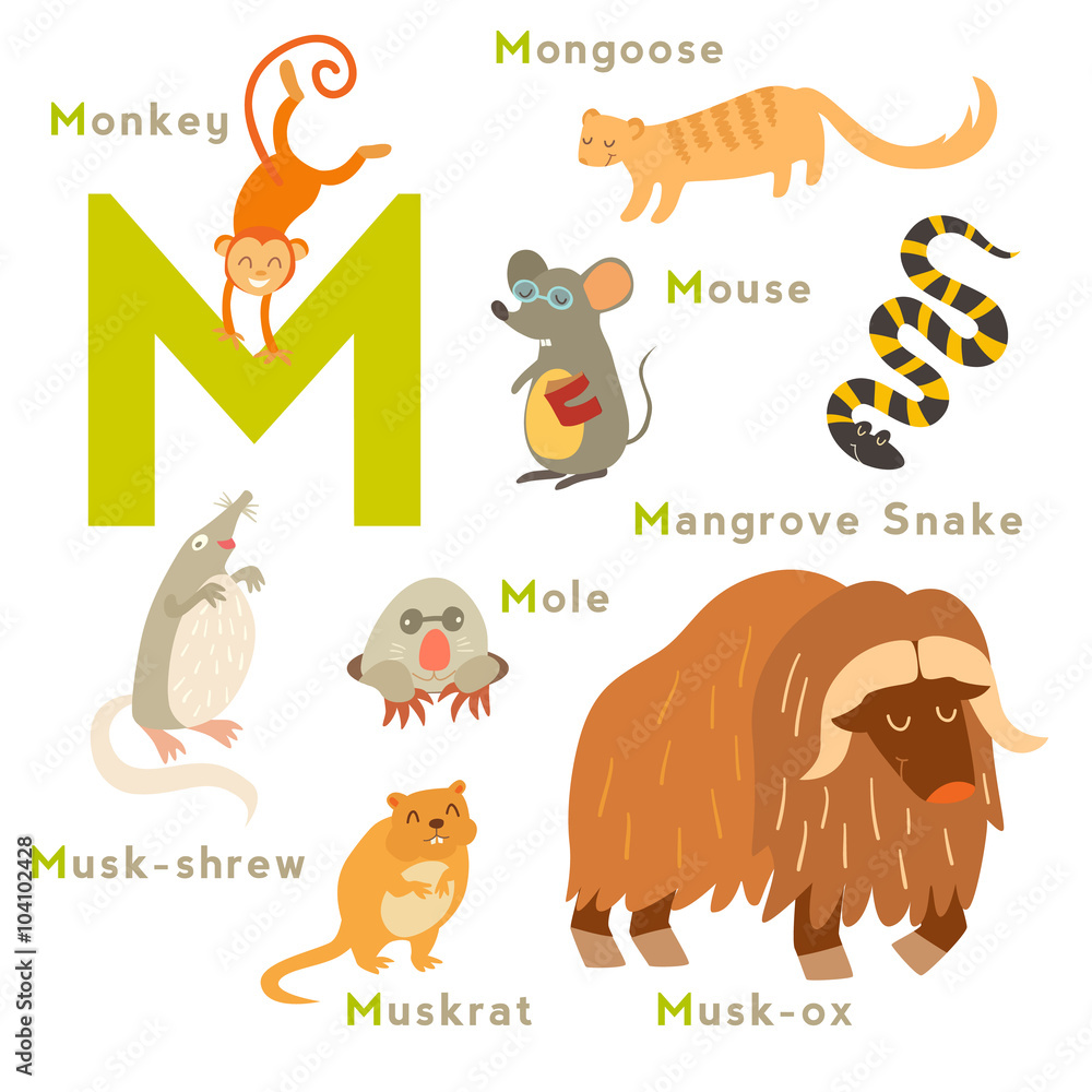 M letter animals set. English alphabet. Vector illustration, isolated ...