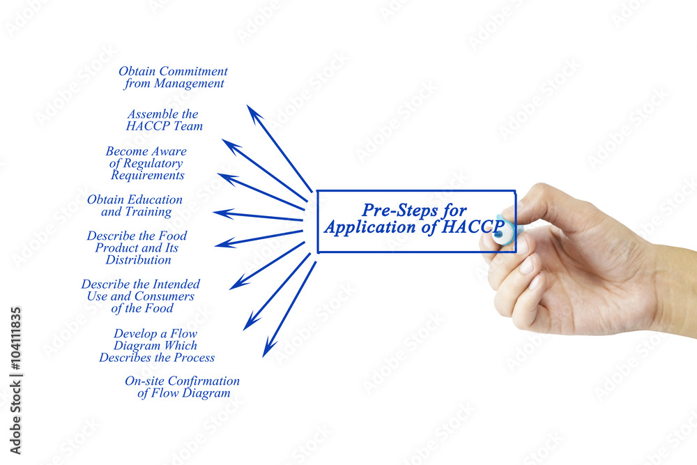Female Hand Model Requirements