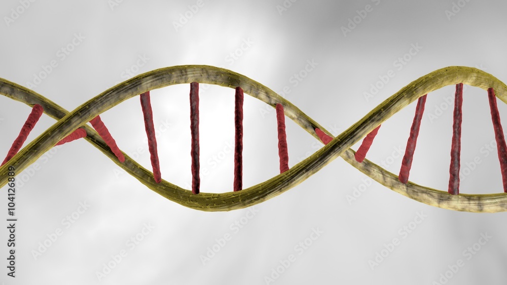 Rotation in Slow Motion of realistic DNA Double Helix 4k over white ...