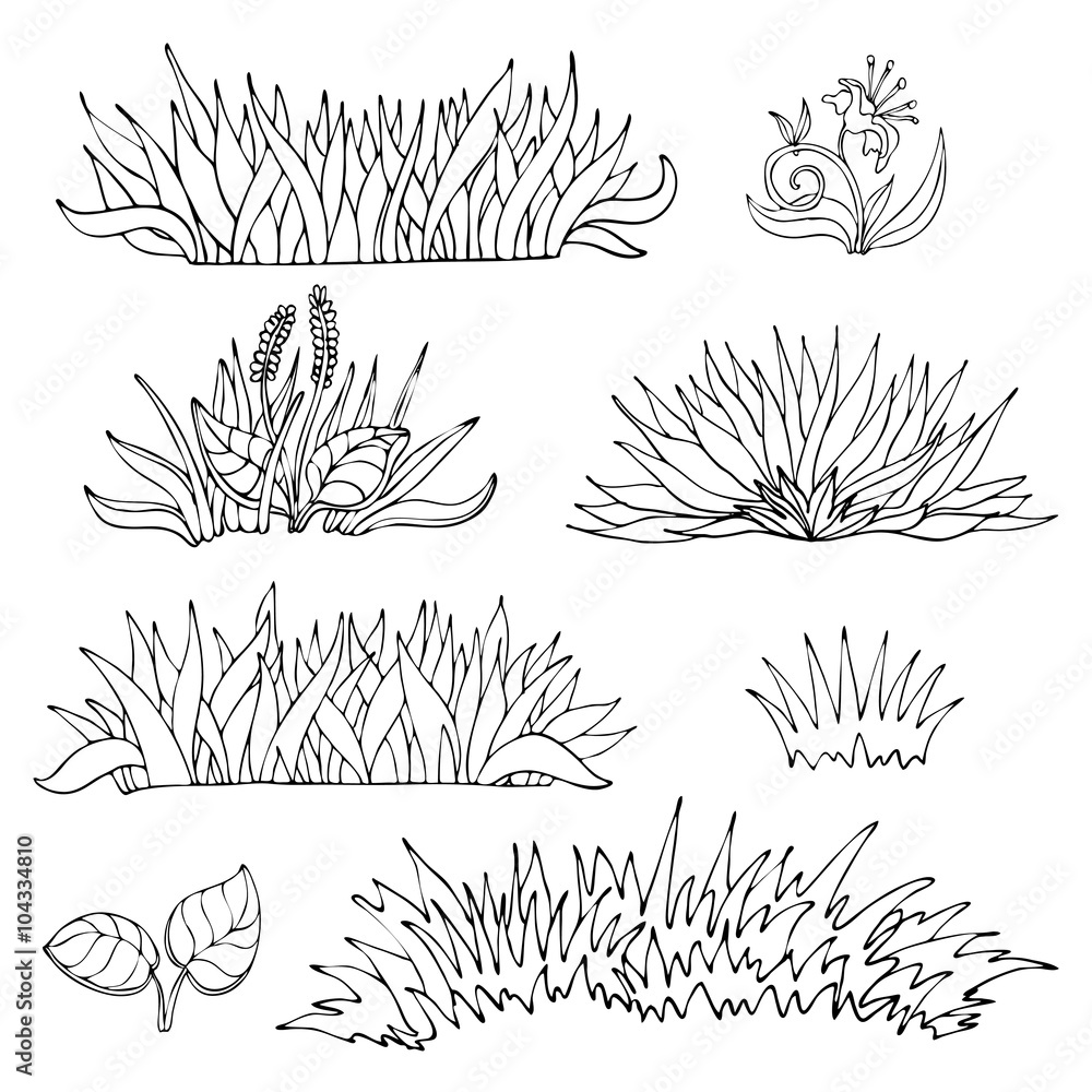 Hand-drawn grass. Vector illustration. Stock Vector | Adobe Stock