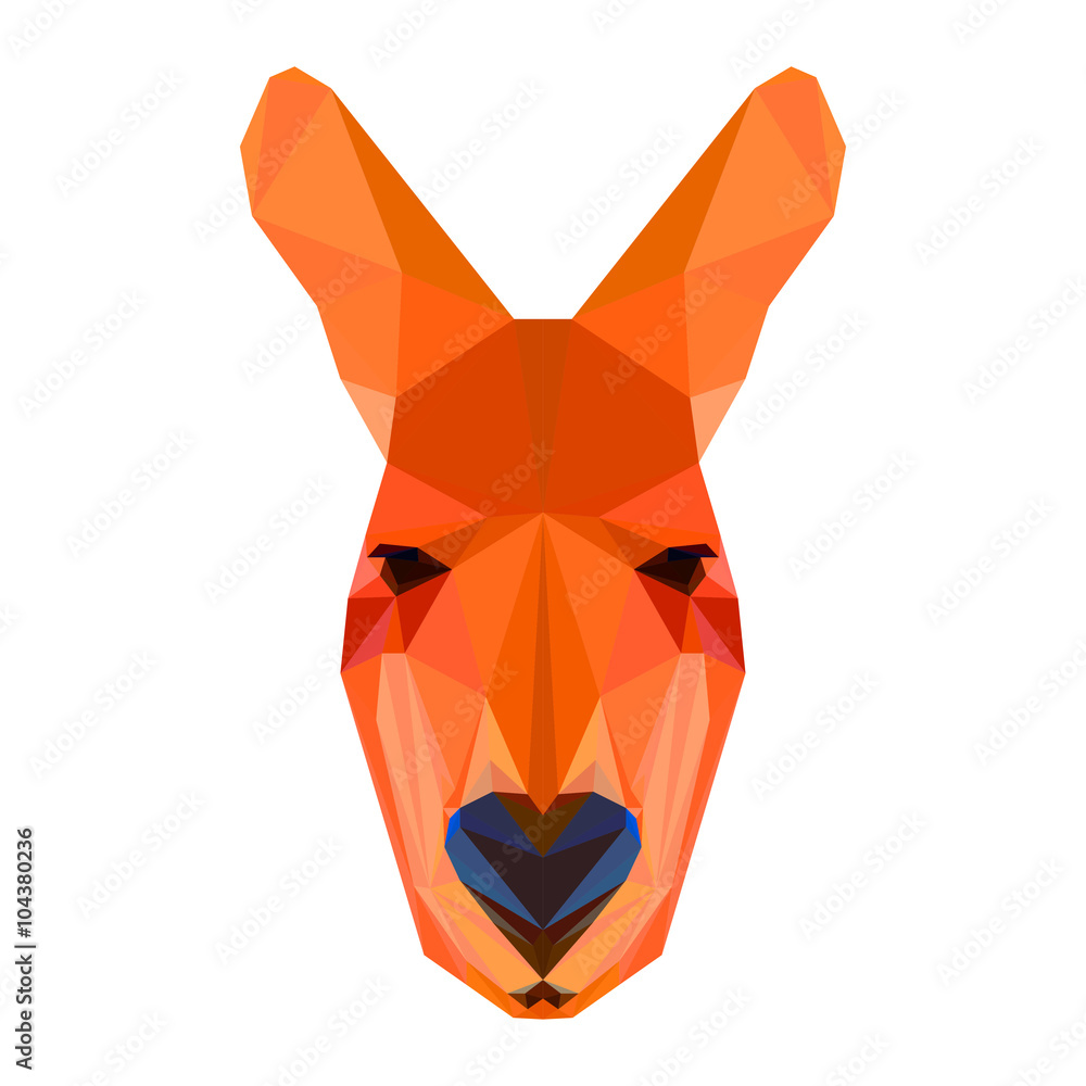 Abstract polygonal geometric kangaroo isolated on white Stock Vector ...