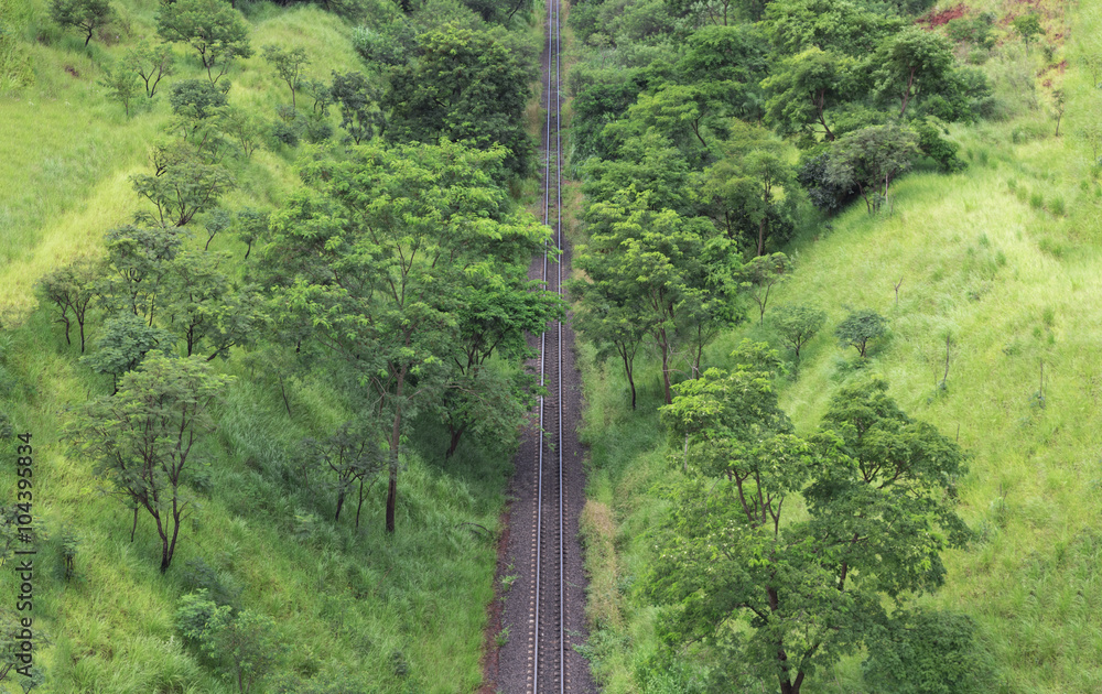 Train track in the forest - Brazil Stock Photo | Adobe Stock