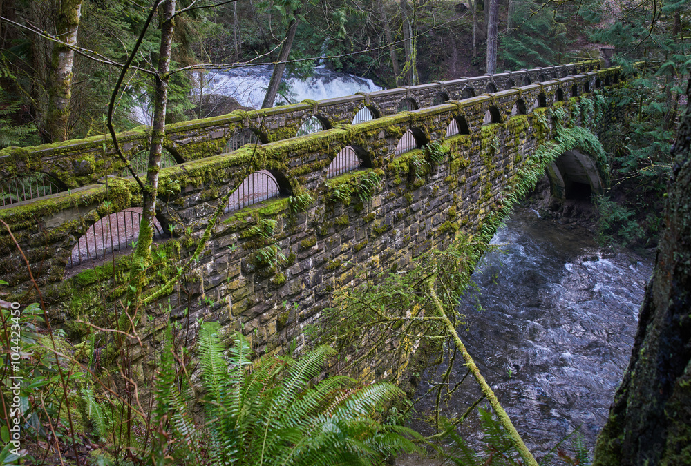 Foto de Whatcom Falls Bridge, USA. Whatcom falls and the historic ...