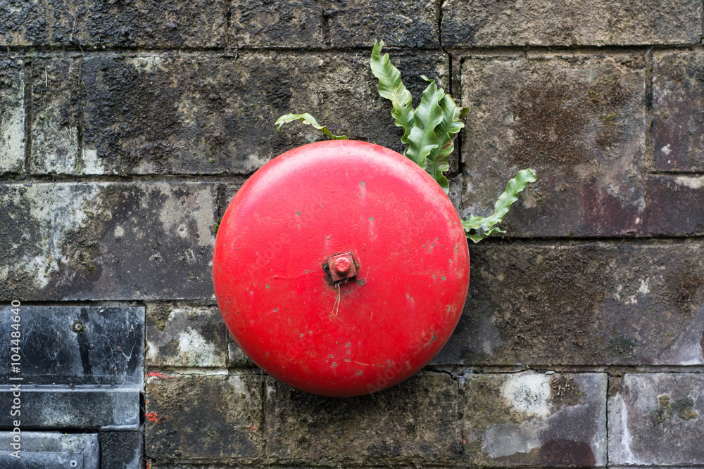 Old fashioned red alarm bell. A metal fire alarm with ferns growing ...