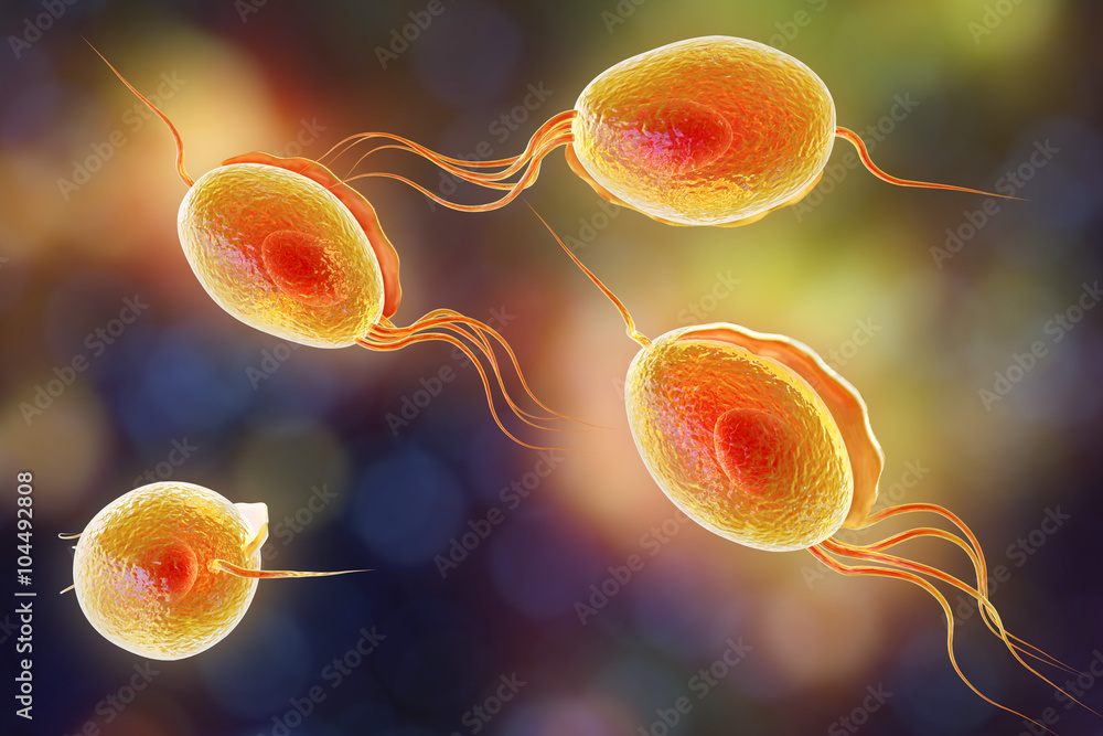 Trichomonas vaginalis on colorful background. Sexually transmitted ...