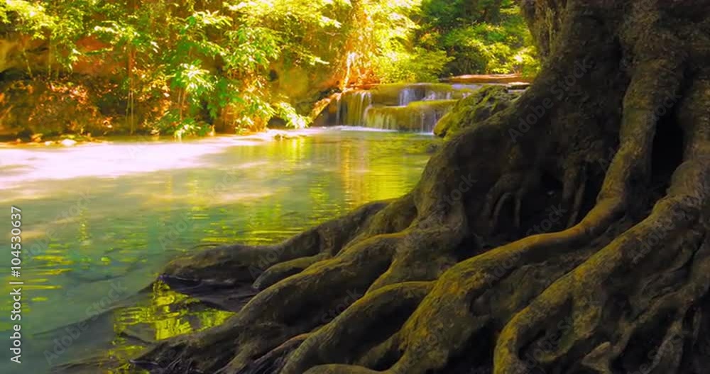 Peaceful nature background of river flowing near old big tree with ...