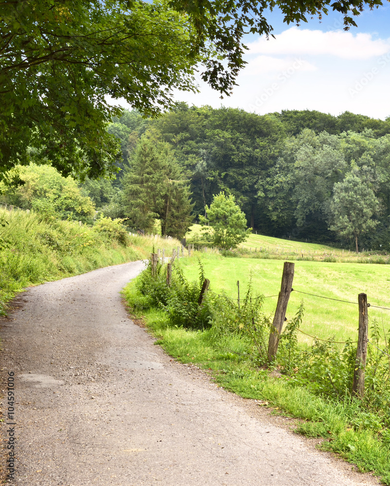 Summer Country Road