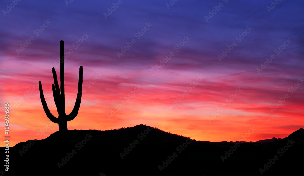 Desert Sunset Images