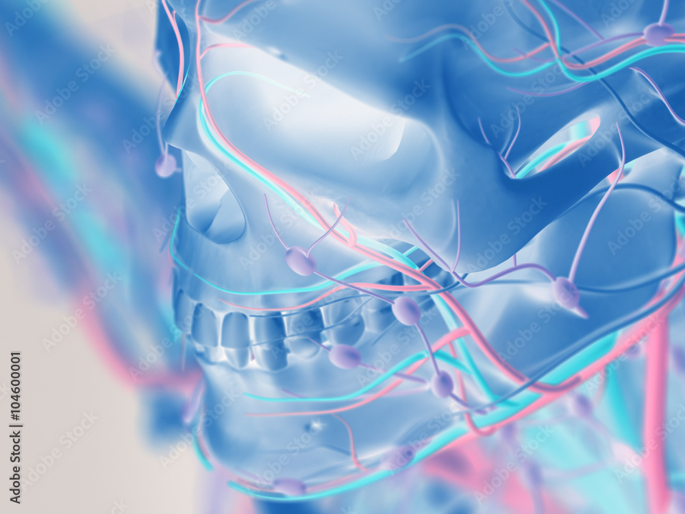 Human anatomy 3D futuristic scan technology with xray-like view of ...
