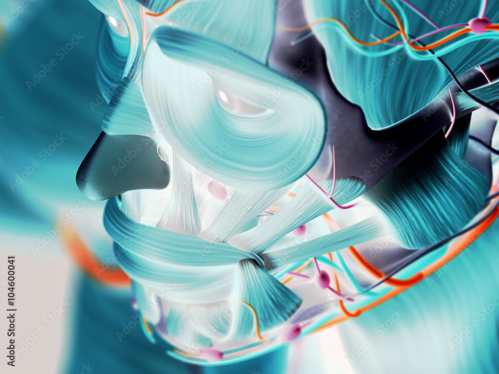 Human anatomy 3D futuristic scan technology with xray-like view of ...