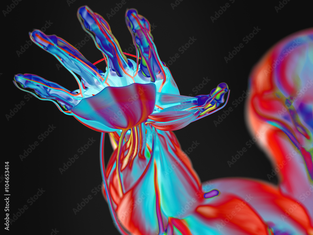 Human anatomy 3D futuristic technology scan. Hand and arm. Vibrant ...