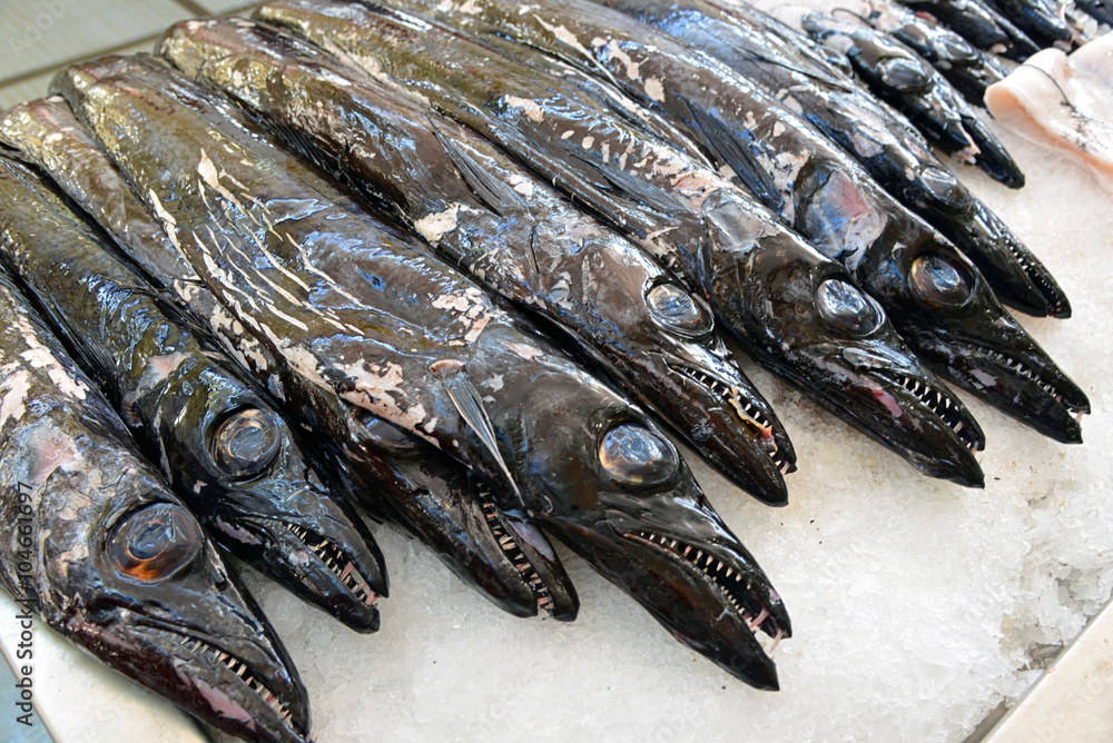 Poisson sabre noir foto de Stock | Adobe Stock