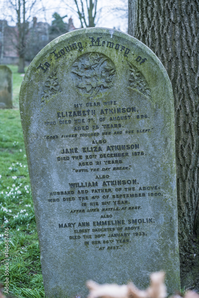 Rip Tombstone In Cemetery