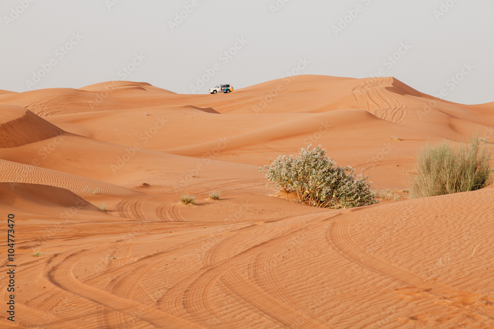Foto Stock Sand dunes of the Arabian desert, close to Dubai in the ...