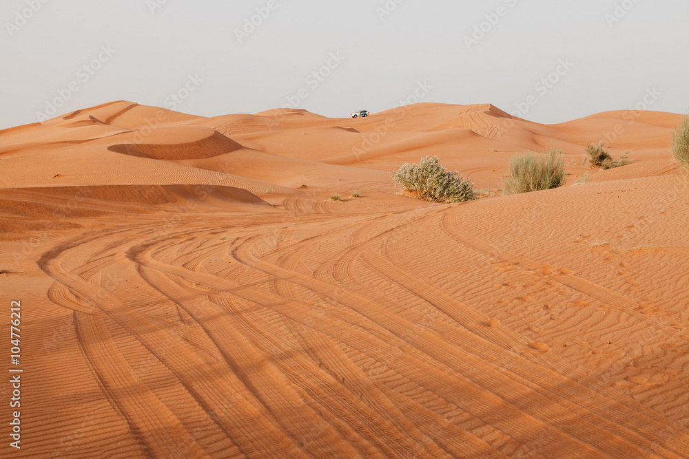 Foto de Sand dunes of the Arabian desert, close to Dubai in the United ...