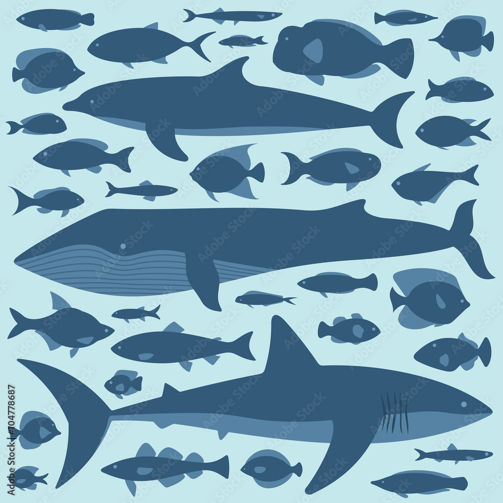 Fish set Stock Vector | Adobe Stock